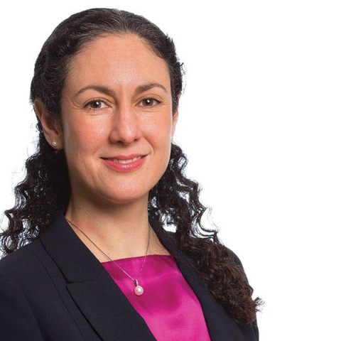 Experienced Mediator for Commercial and Workplace Disputes | Karima ...